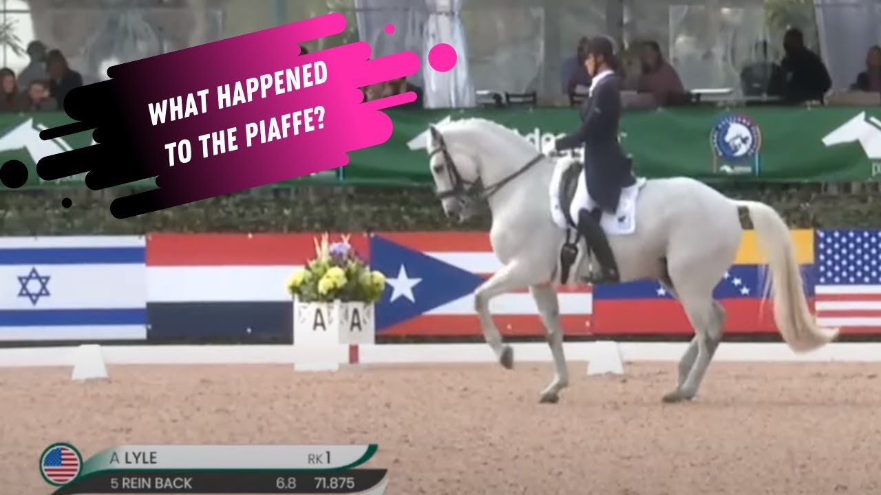 What Happened To The Piaffe? - YouTube