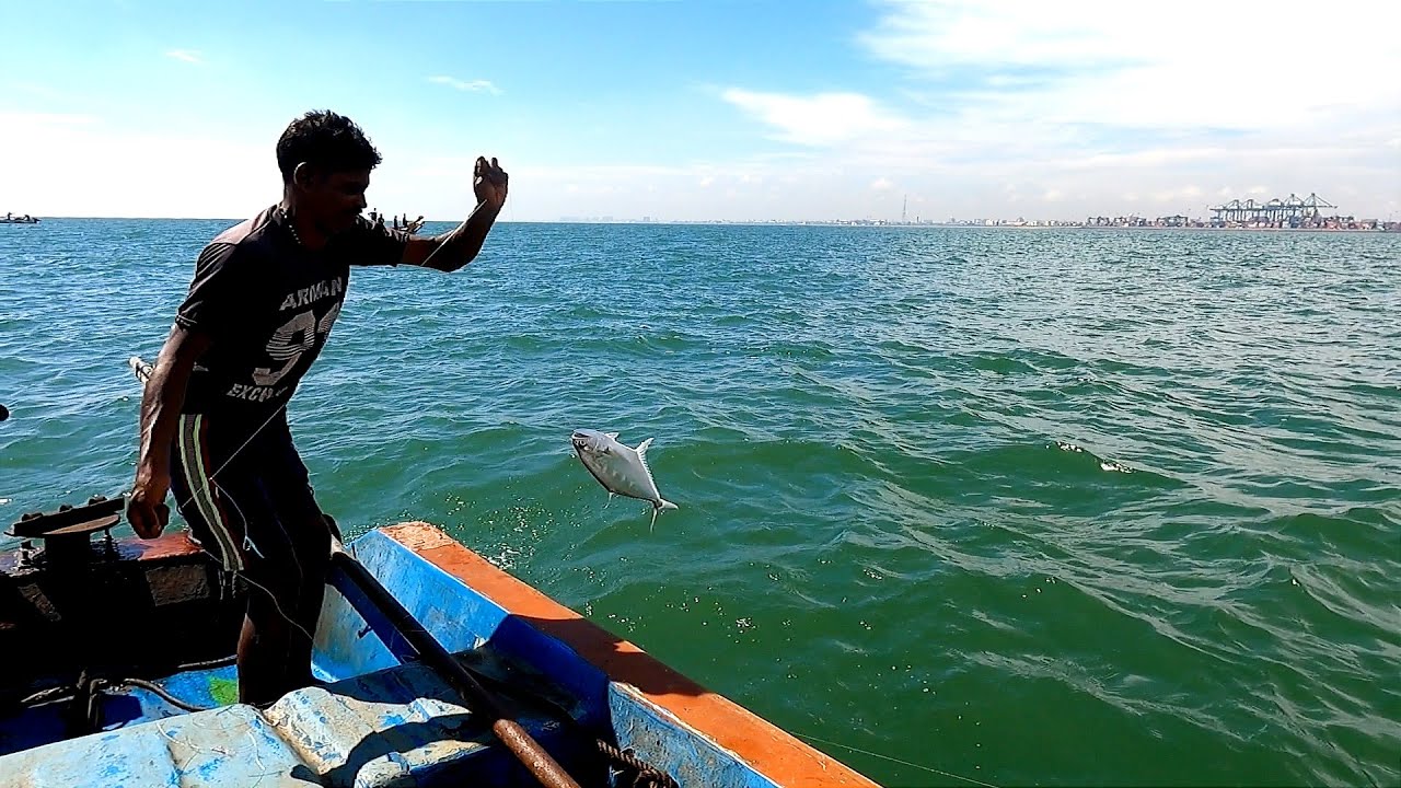 Catching Queen Fish in the Sea - YouTube
