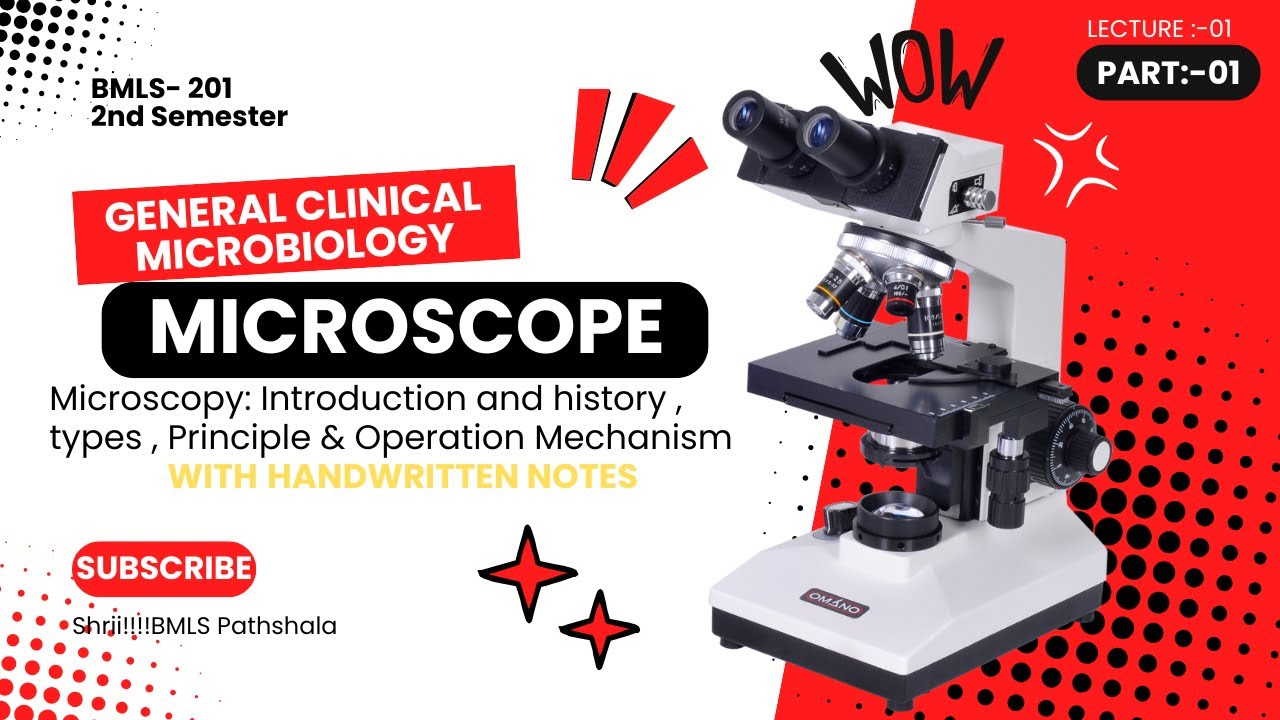 Microscopy: Simple vs Compound Microscope | Types, Parts, Uses | BMLS ...