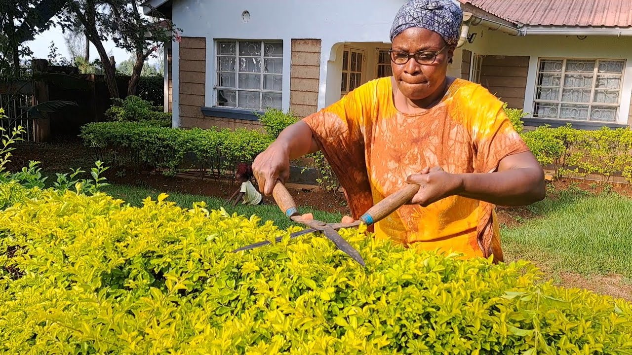 How to Enjoy Your Retirement in The Rural Home | Life After Retirement ...