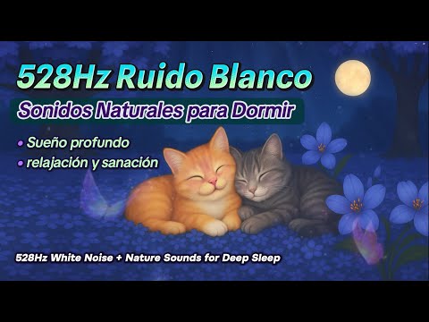 528Hz Ruido Blanco🌙Sonidos Naturales para Dormir｜Sueño profundo (💤528Hz White Noise for Sleep)