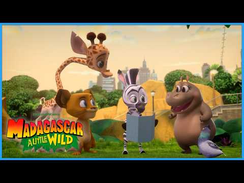The Gang Search For Treasure!🪎🗺️ | DreamWorks Madagascar