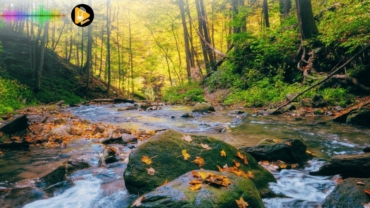 November Relaxation - Soothing River Streams for Relaxing November ...