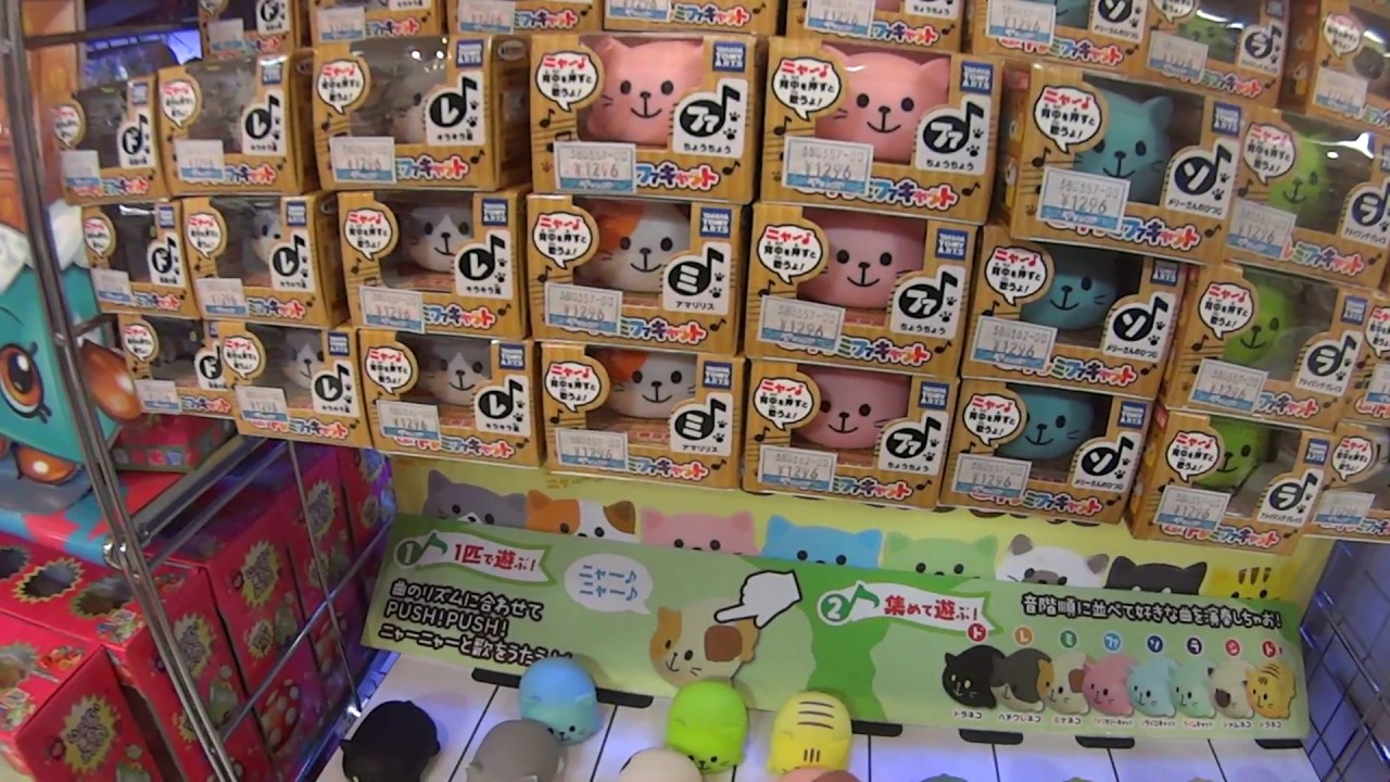 Doremifa Cat (ドレミファキャット) at Yamashiroya - YouTube