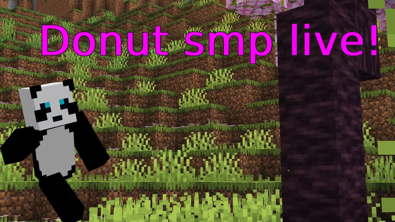 Donut smp! First stream | Doing donut smp duels and rating bases! - YouTube