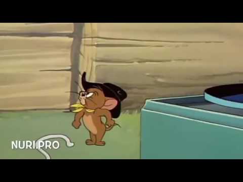 ben onun xestesiyem tom ve jerry
