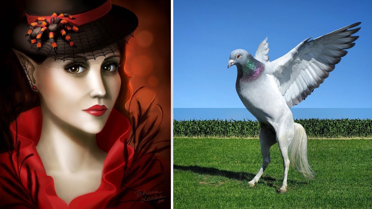 Amazing Art Skills Talented People The Talent The Creativity of These ...