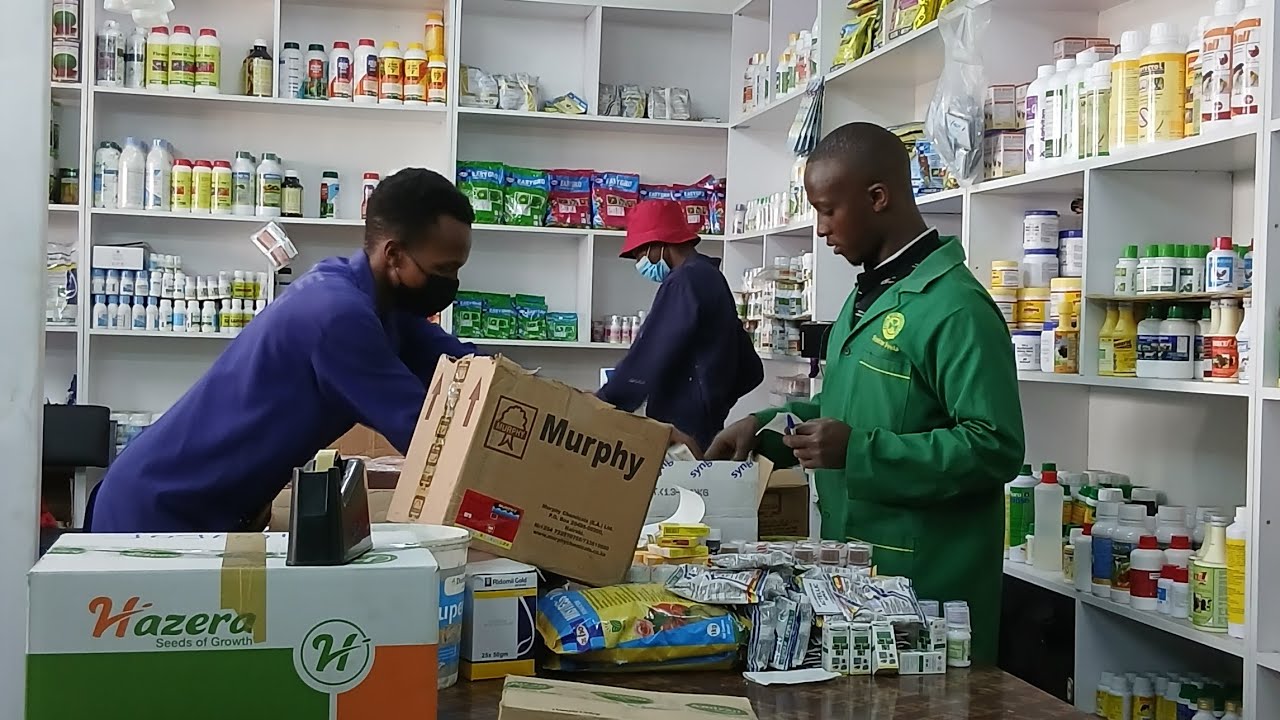 A day in the work done at Jojemi Agrovet Shop MUST WATCH 💯🤗🥬🫑👨‍🌾🫒🤗 ...
