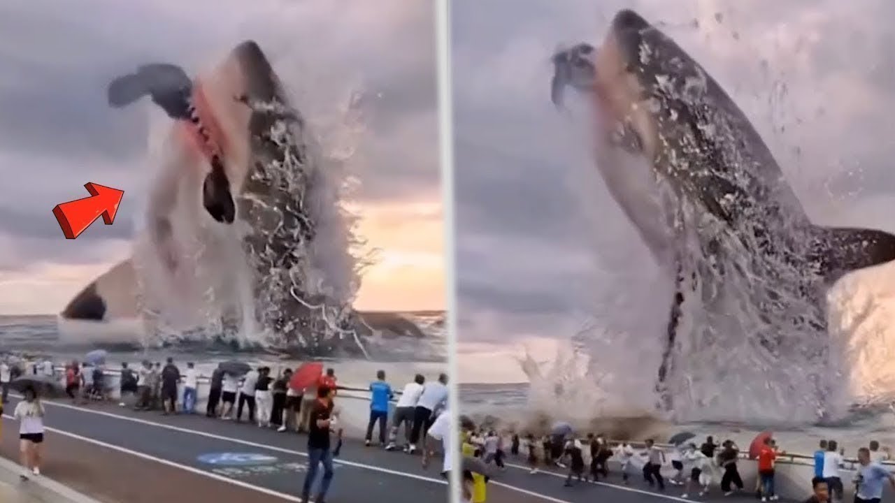 30 Times Sea Animals Messed with the Wrong Opponent - YouTube