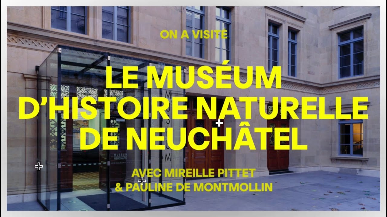[On a visité] le Muséum d'histoire naturelle de Neuchâtel - YouTube