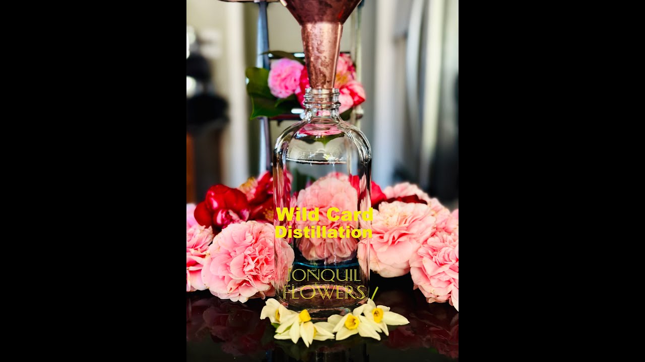 How To Distill Jonquil Flowers: Wild Card Distillation - YouTube