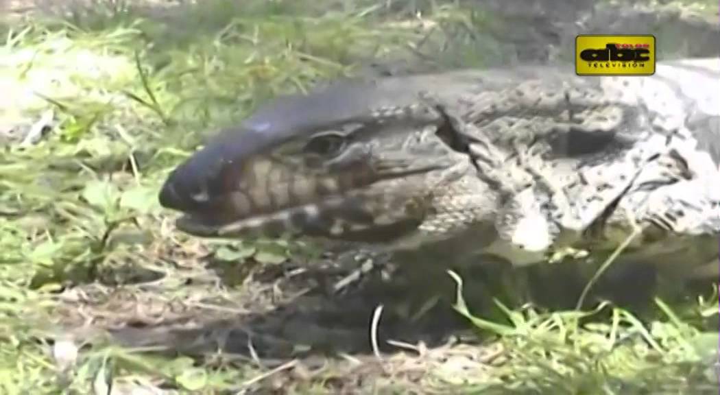 Seam lleva audiencia pública a Filadelfia para "debatir" la caza del ...