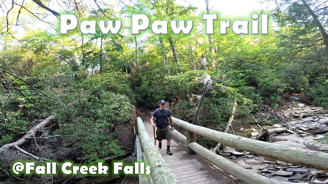 Paw Paw Trail: A Beautiful Hike At Fall Creek Falls State Park - YouTube