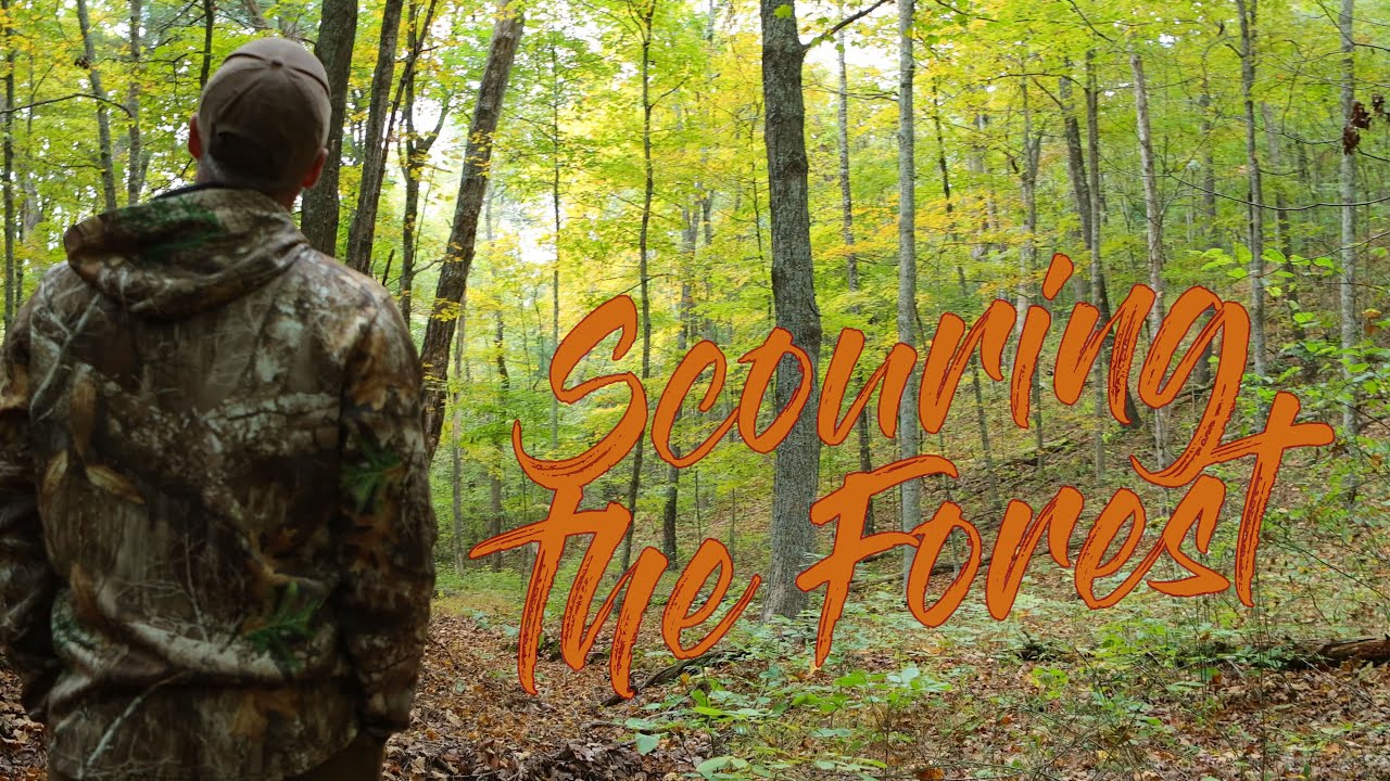 🦌 A Hunting Escape to Welcome Autumn 🔥🍂 - YouTube