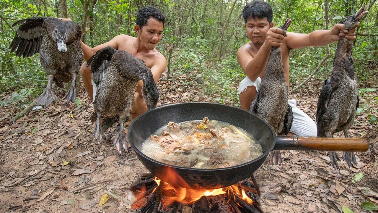 Finding Wild Ducks & Cooking Wild Duck Eating So Delicious - YouTube