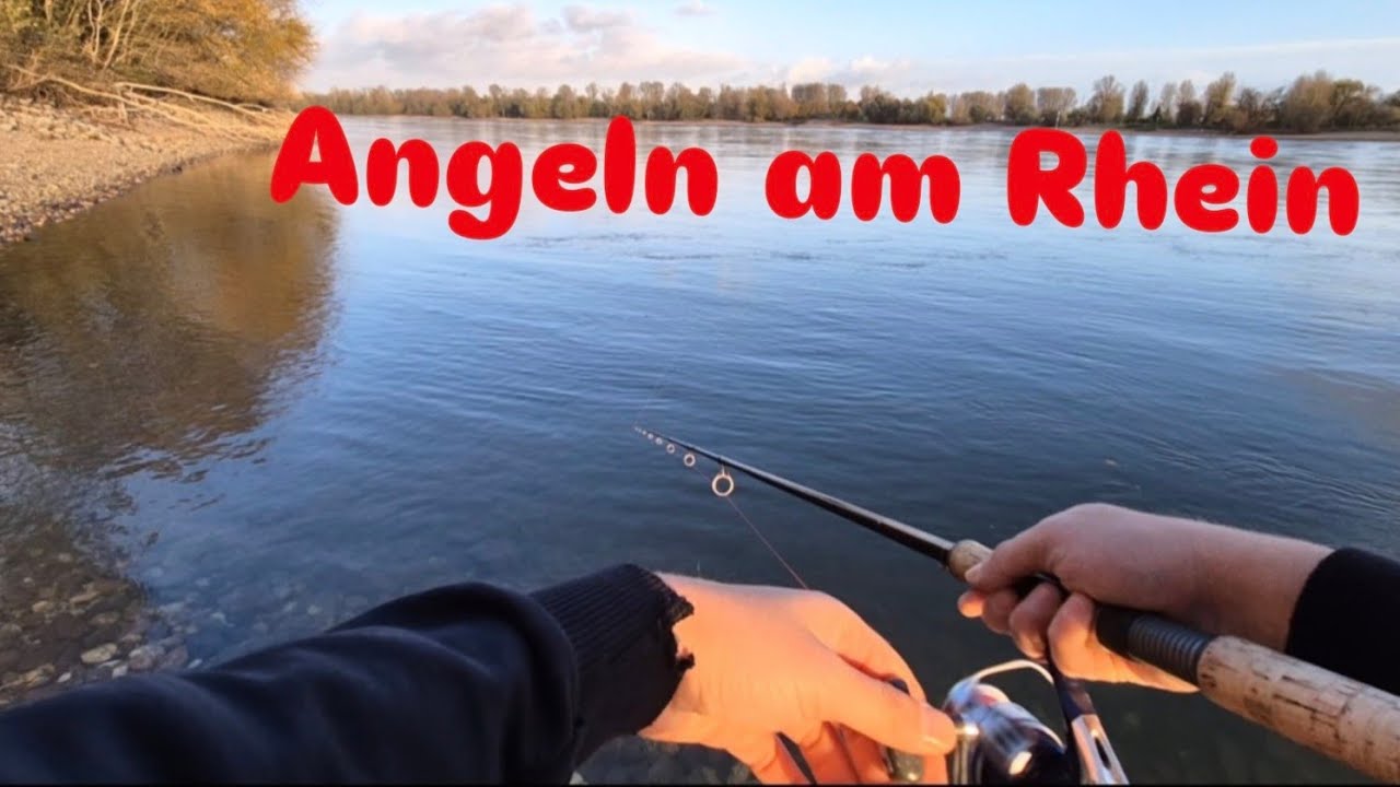 Turgutfishing rettet mein Video. Angeln am Rhein 2024. 🎣😲 - YouTube