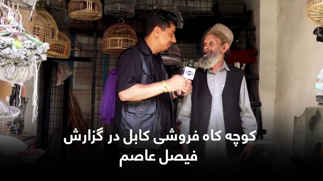 Birds Street Market in Kabul, Faisal Asem reports / کوچه کاه فروشی کابل ...