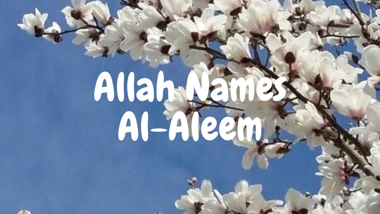 Allah // 99 Names // Al-Aleem // Meaning and Explanation🤍 - YouTube