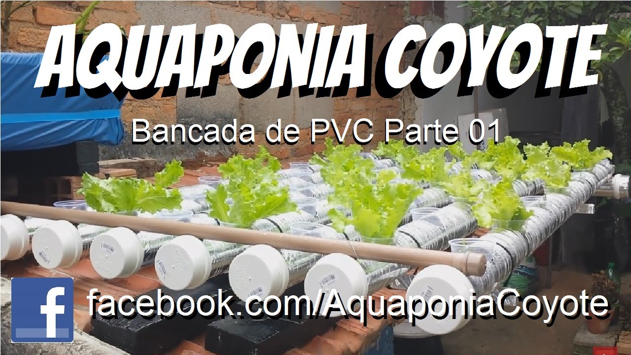 Aquaponia em tubos de PVC - Bancada de Hidroponia Parte 01 - 18/05/2016 ...
