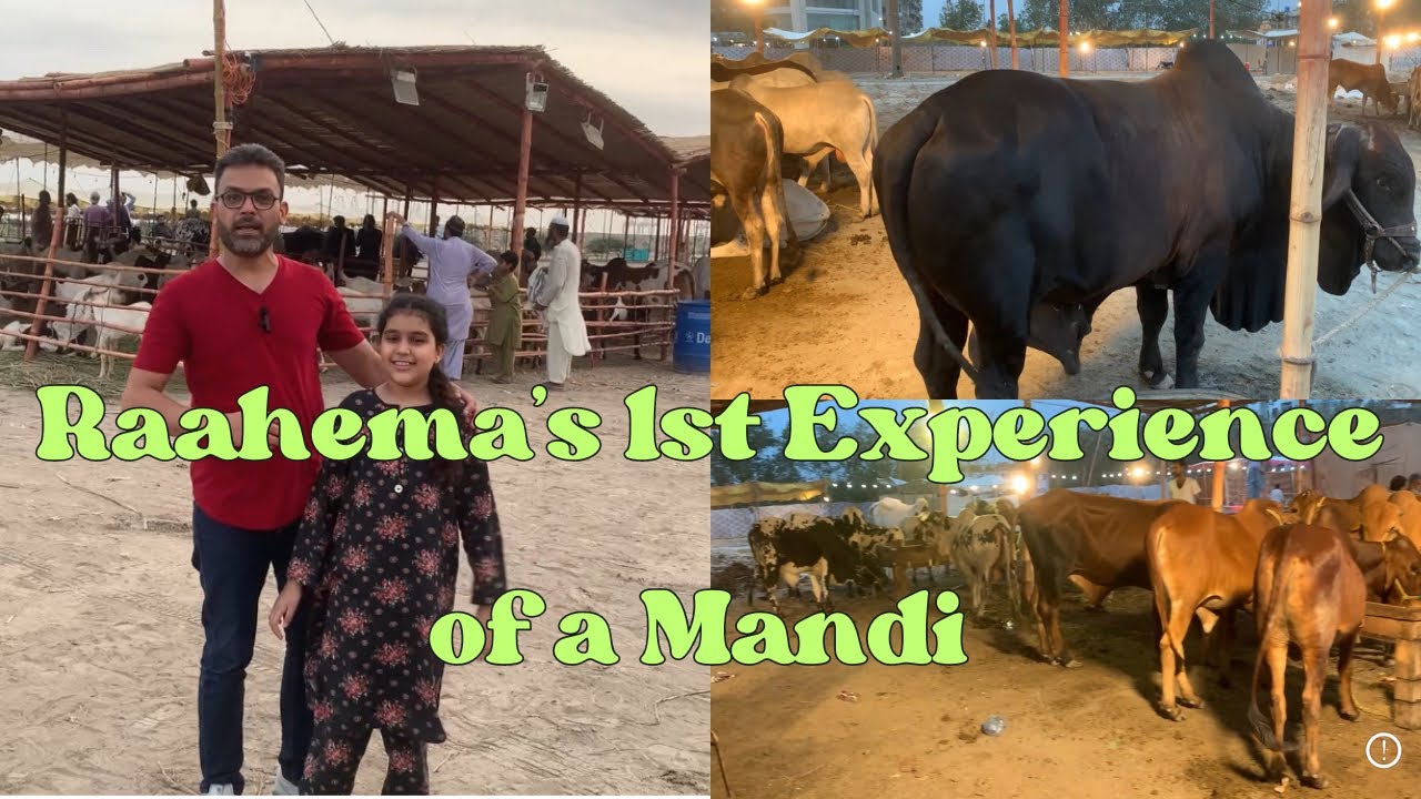 Raahema pehli baar bakra mandi gae 😊 Defence Mandi bohat mehengi hai ...