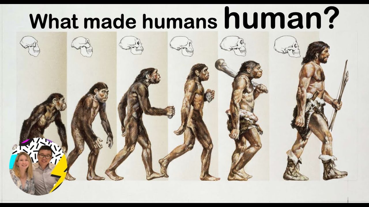 【What made humans human? 】The six most incredible characteristics of ...