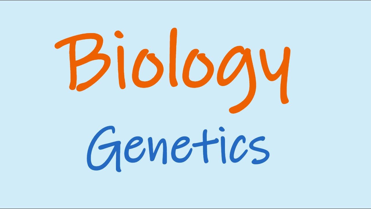 Year 10 Genetics - YouTube