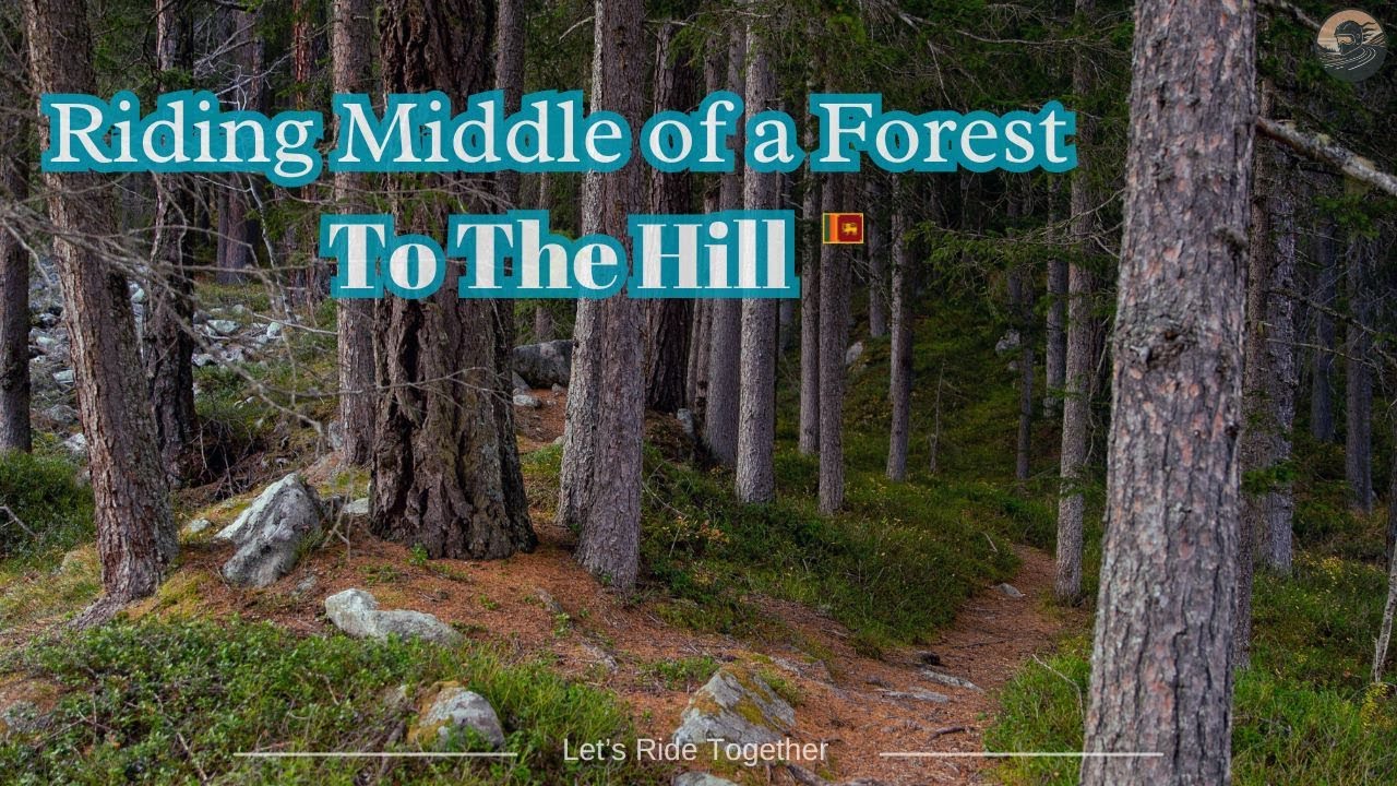 Riding middle of a forest in Sri Lanka | Solo Ride | Ride to the hill ...