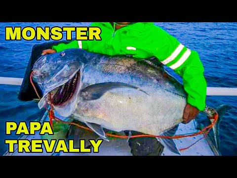 Monster GT 40kg - Mancing Ikan Besar Di Pesisir Timur - Giant Trevally ...