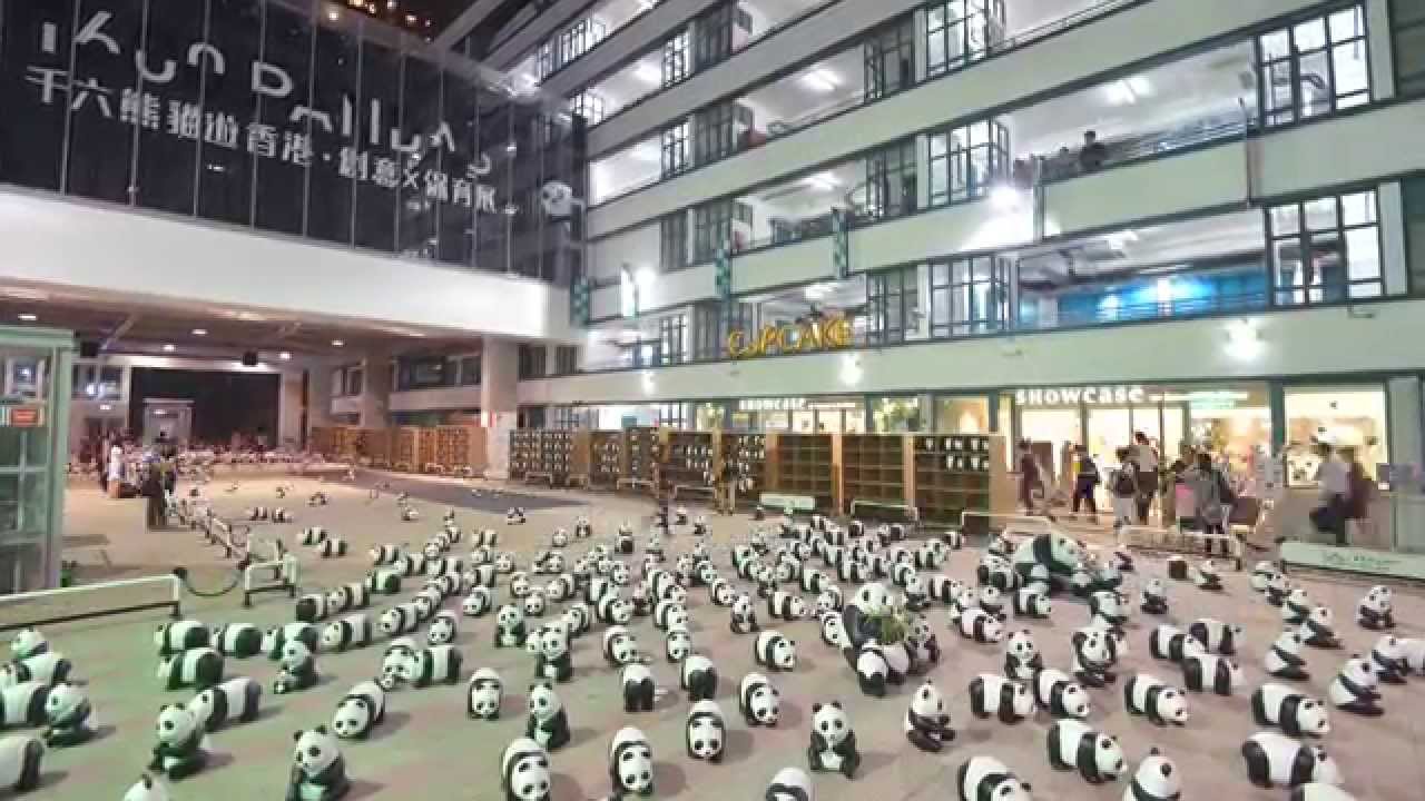 PMQ - 1600熊貓遊香港 • 創意X保育展 | 1600 Pandas World Tour in Hong Kong ...