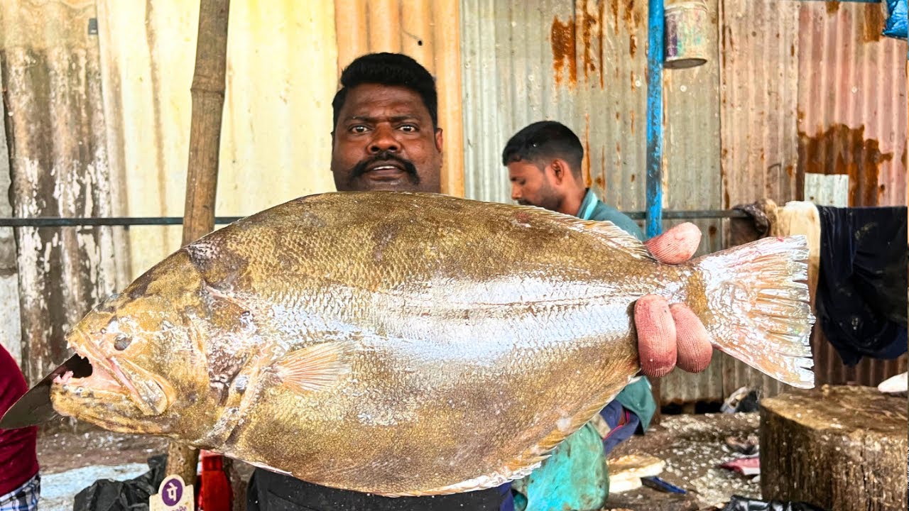 KASIMEDU SPEED SELVAM BIG GIANT BROWN SOLE NAKKU FISH CUTTING VIDEO ...