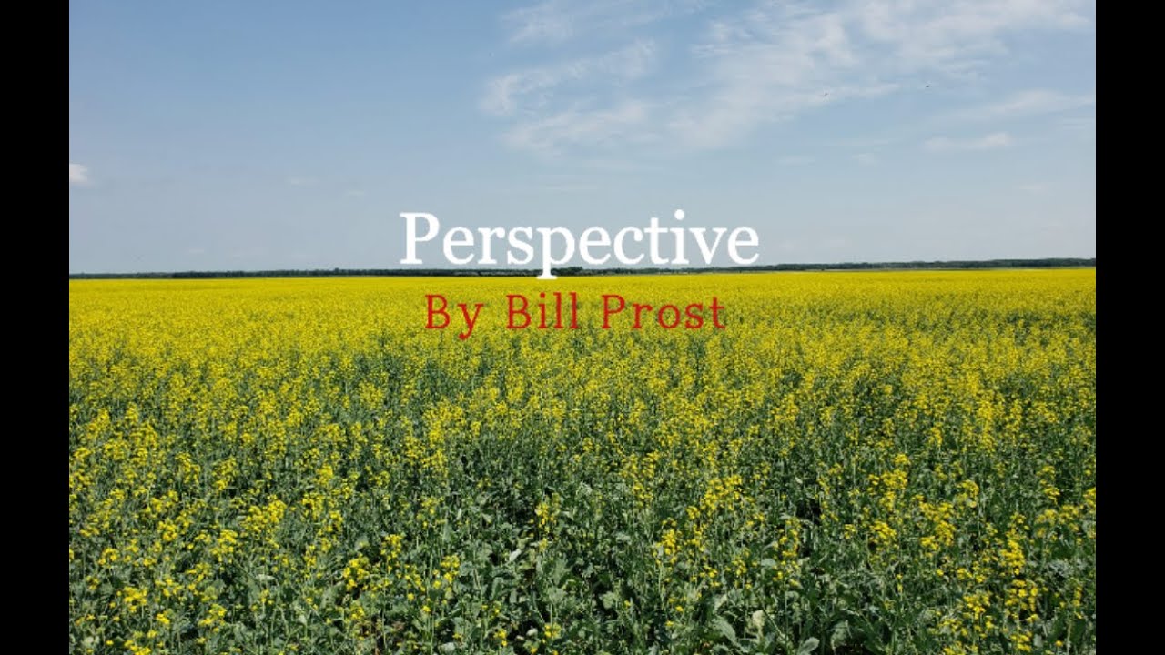 Perspective by Bill Prost - YouTube