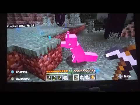 Pink minecraft fox? Did I find a glitch? - YouTube