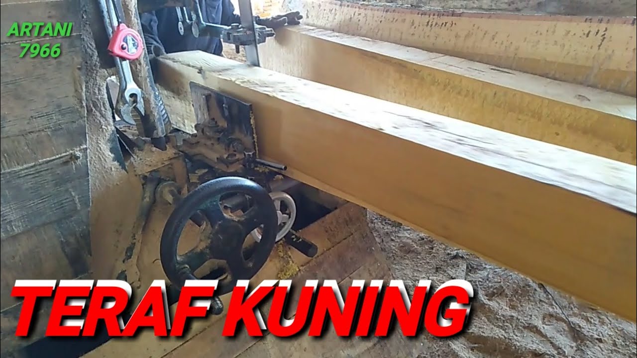 TERAF KUNING YG MENAWAN SIMAK TERUS YA GAESS PROSESNYA - YouTube