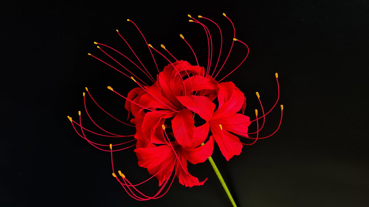 How To Make Red Spider Lily Paper Flower / Paper Flower / Góc nhỏ ...