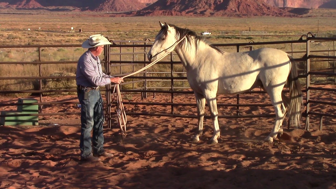 Wild Mustang Training Silver Day 2 - YouTube