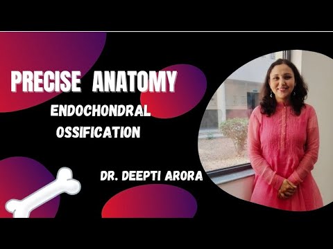 ENDOCHONDRAL OSSIFICATION - YouTube