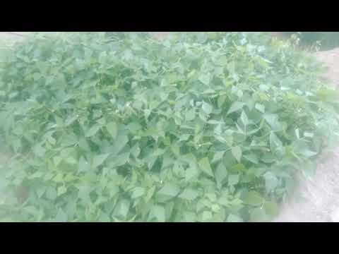 music rif 2023 "3ad atandamad 100×200". Top sallam rifi - YouTube