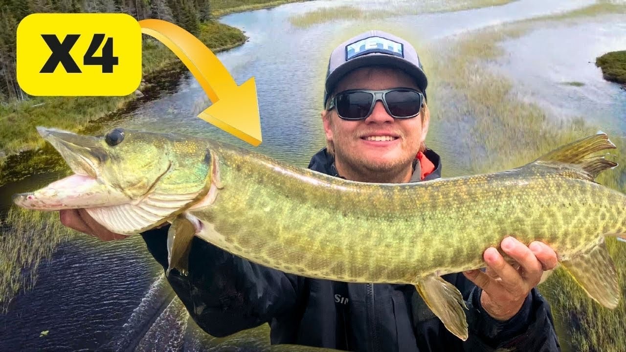 Minnesota Muskie Fishing: Tips for Number lakes (4 Fish Day) - YouTube
