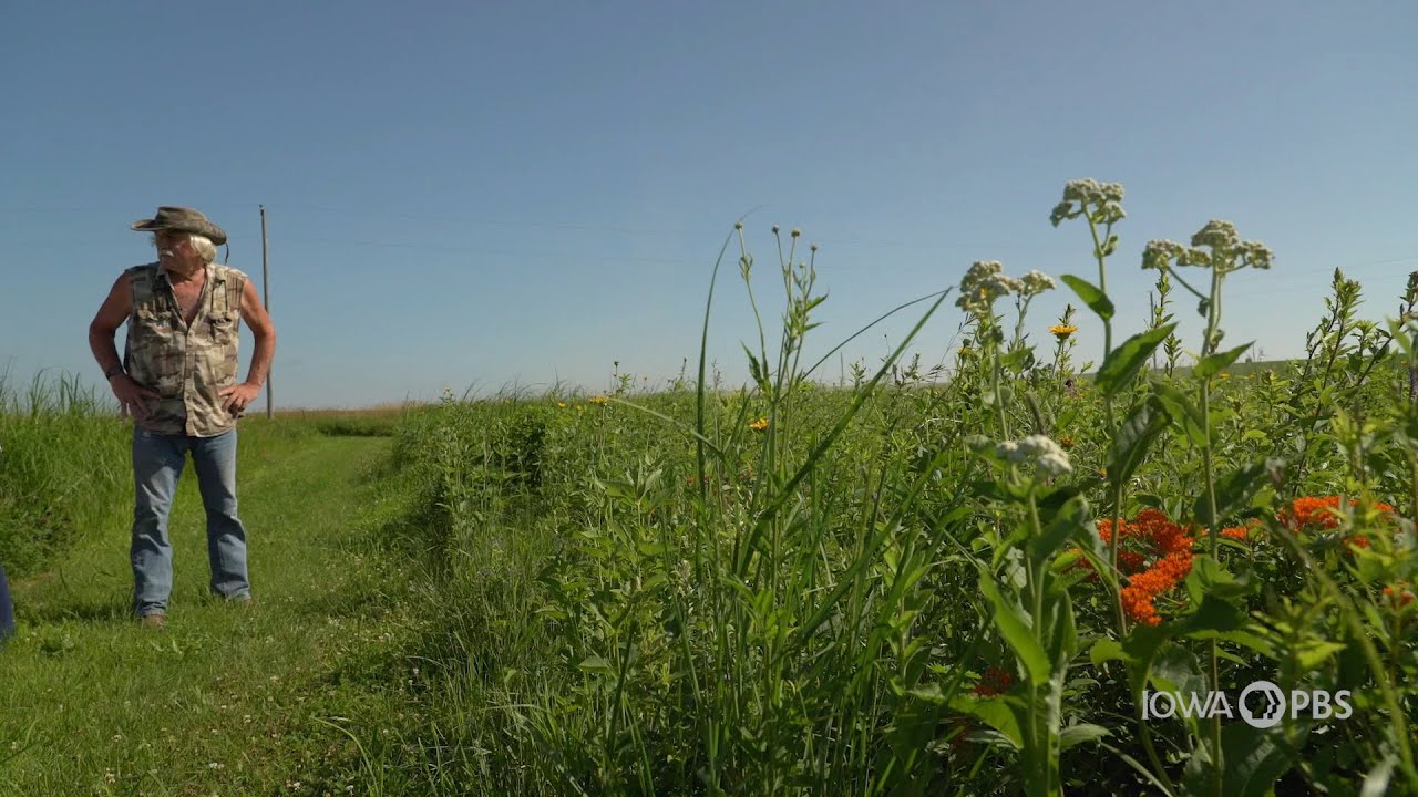Prairie Flower Farm - YouTube