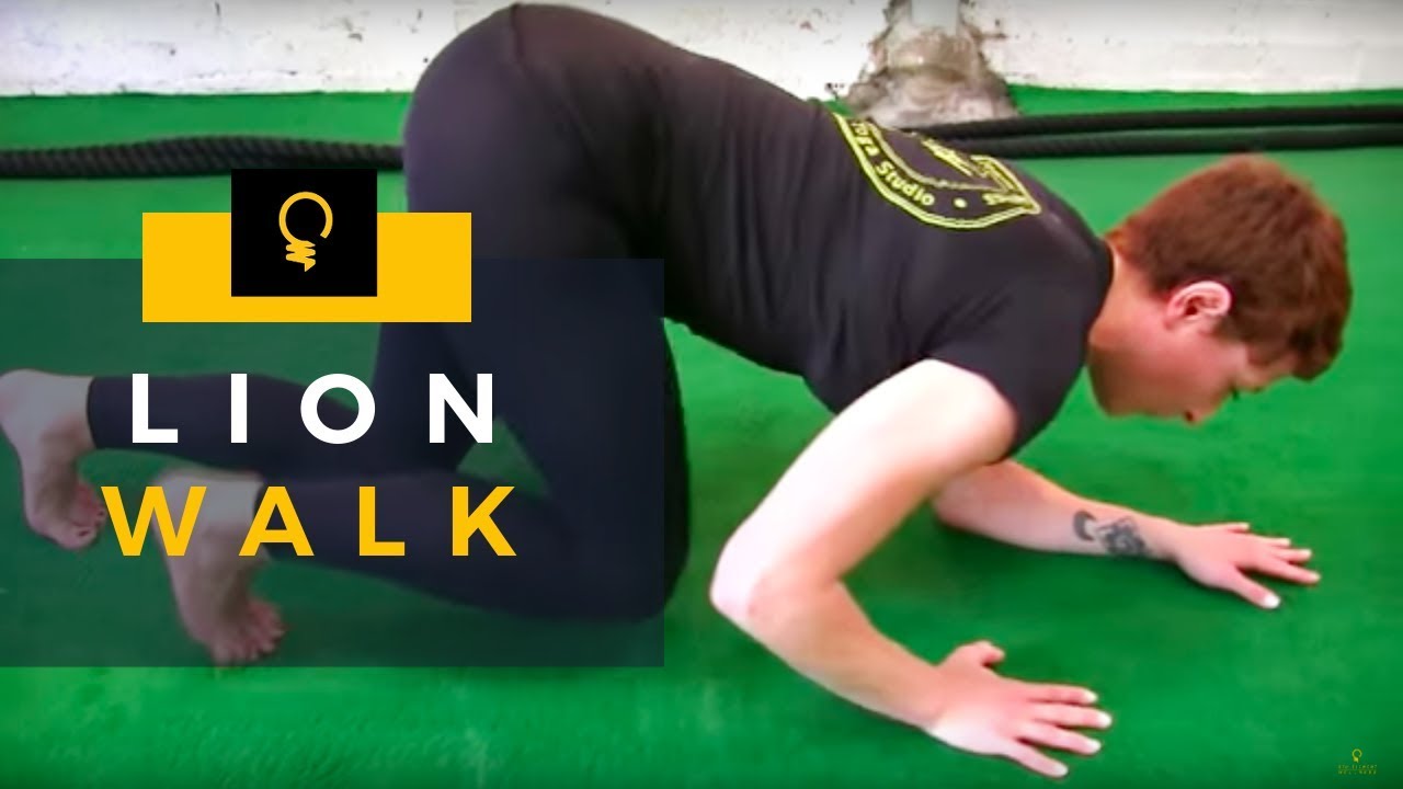 5EW Exercises: Lion Stalk - YouTube