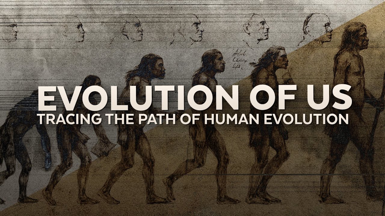 The Origins Of Us: A History Glimpse Into Mankind's Evolution | History ...