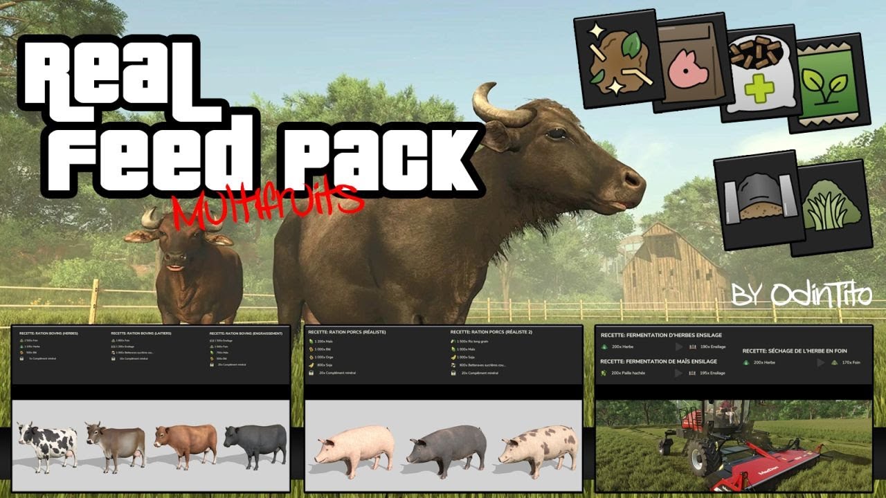 Real Feed FS25 - Alimentazione realistica degli animali - YouTube