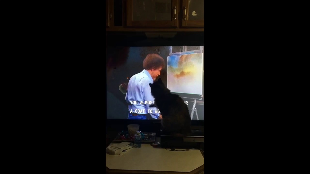 Cat Painting with Bob Ross - YouTube