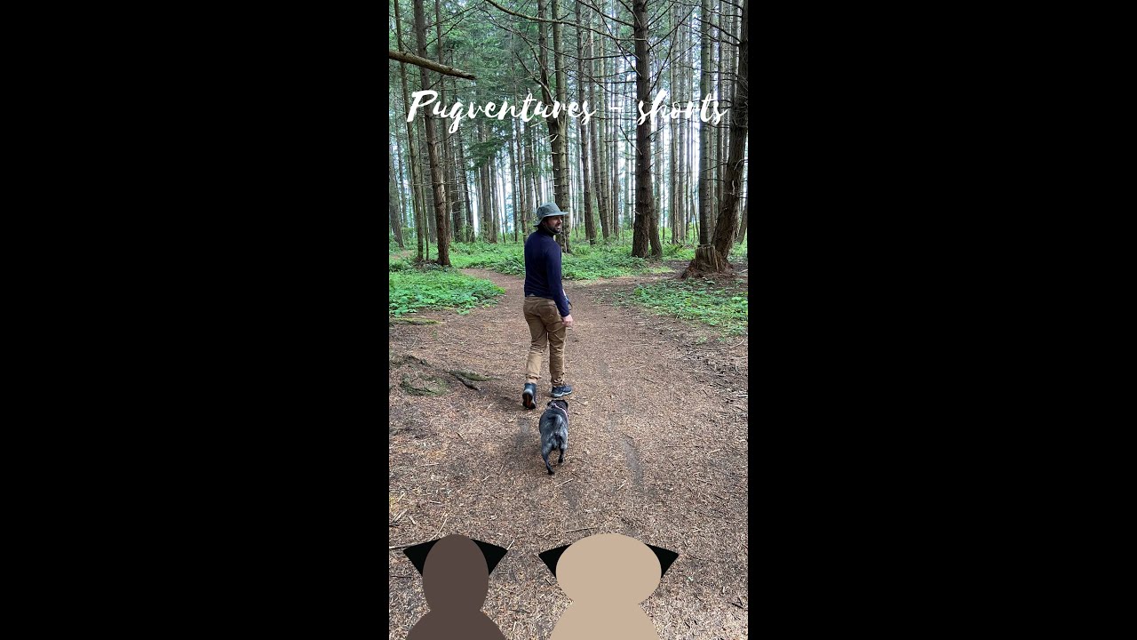 Pug meets bunny rabbits! Rabbit stew or rabbit poops? #shorts - YouTube