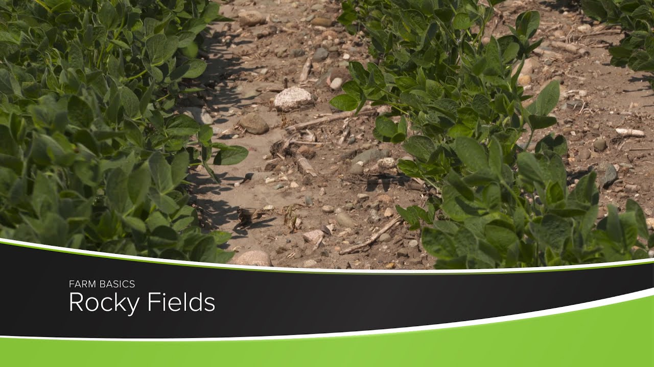 Rocky Fields - YouTube