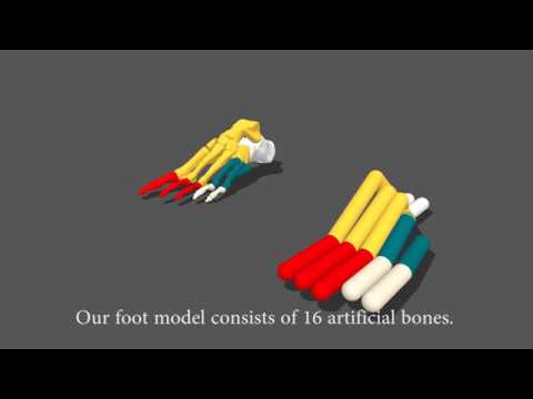 Multi-Segment Foot Modeling for Human Animation - YouTube