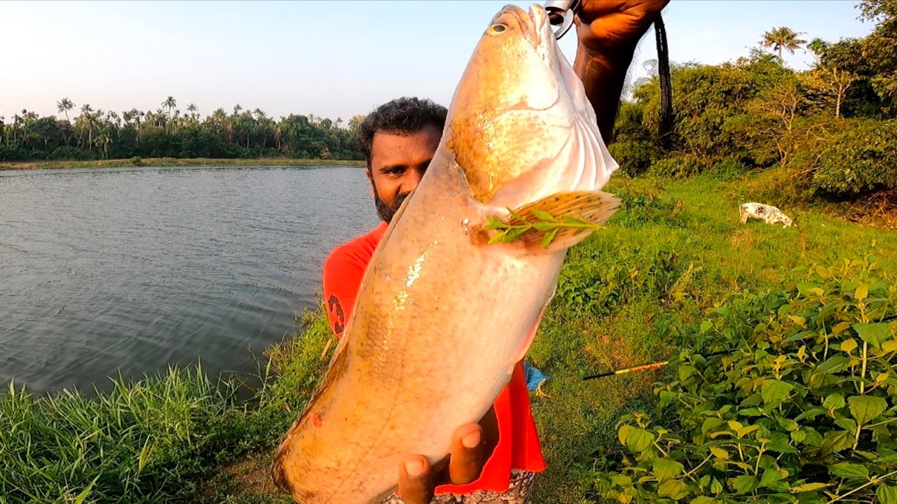 unexpected fish got from river! THATTIKOOTT FISHING - YouTube
