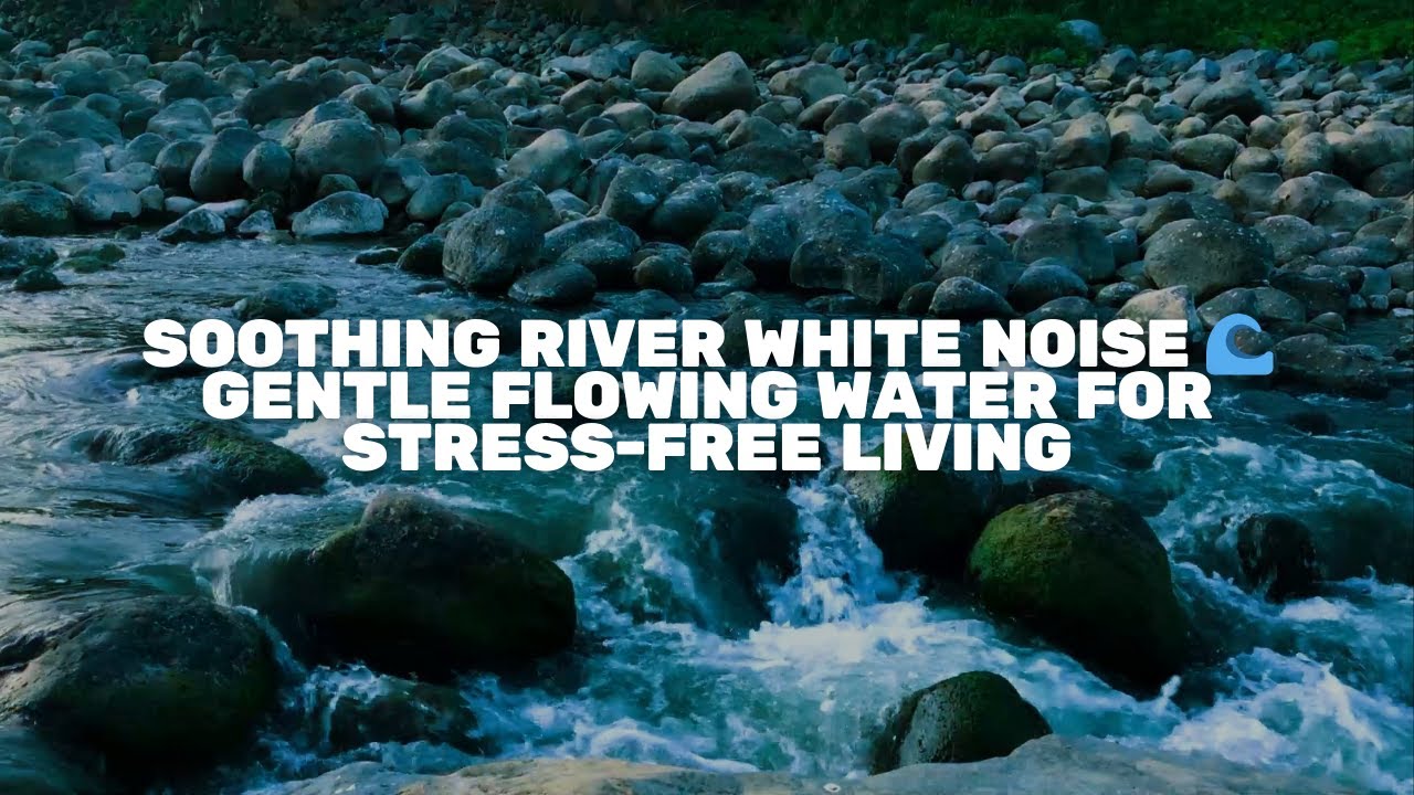 Soothing River White Noise 🌊 | Gentle Flowing Water for Stress-Free ...