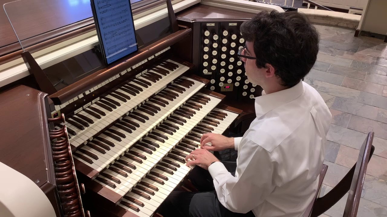 Hamadryas Compenii (Aksel Andersen) - YouTube