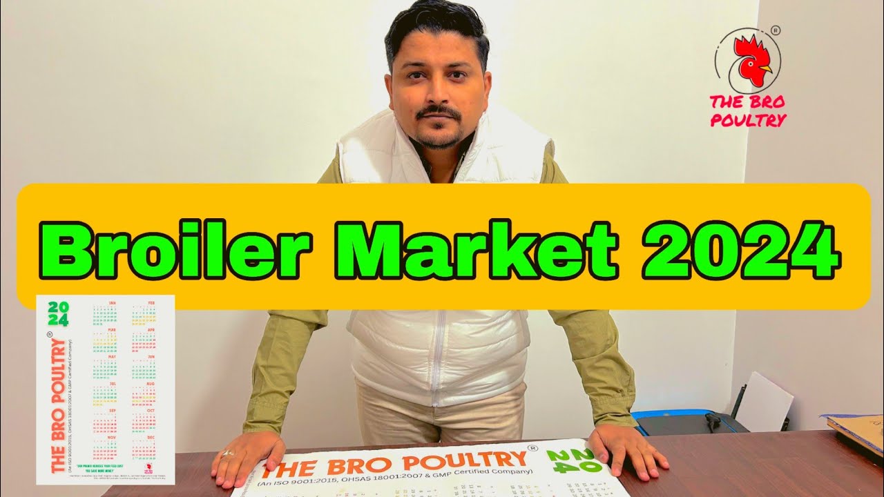 Broiler Market 2024 | Kaisa rahe ga 2024 me broiler Market | Broiler ...